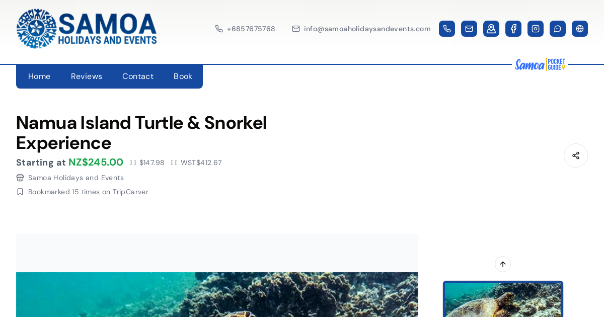 Namua Island Turtle & Snorkel Experience | Samoa Holidays and Events